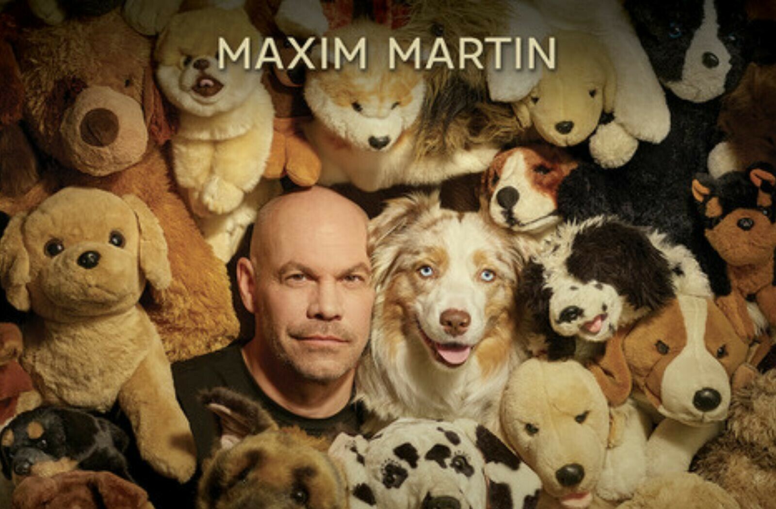 Le Club Dix30 | Bon chien